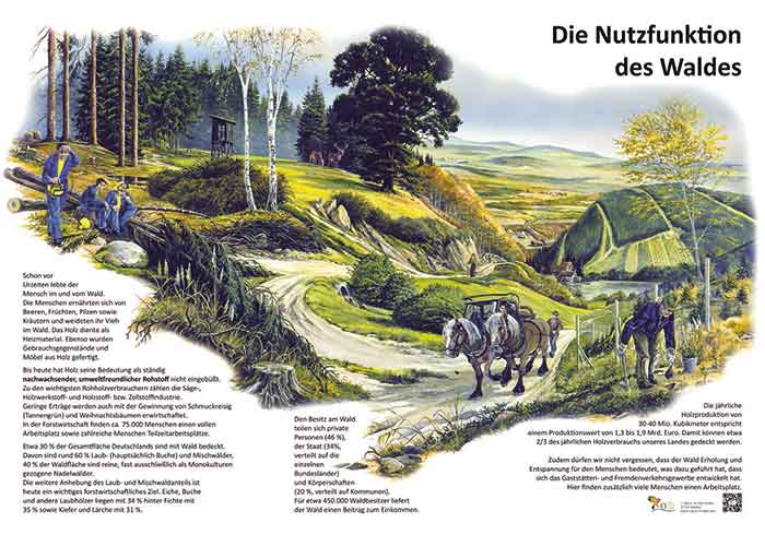 Nutzfunktion des Waldes | Wald | Lehrtafeln | Natur im Bild Lehrtafeln ...