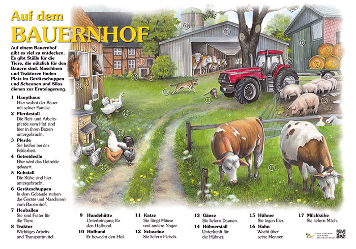 Auf dem Bauernhof | Natur im Bild Lehrtafeln für Natur-, Lehr- oder ...