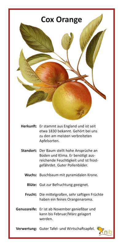 Cox Orange | Obst | Lehrtafeln | Natur im Bild Lehrtafeln für Natur ...