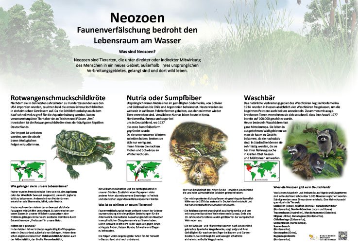 Neozoen | Tiere | Lehrtafeln | Natur im Bild Lehrtafeln für Natur ...