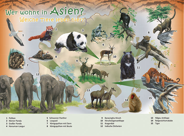 Wer wohnt in Asien? | Zoo- und Tierparktafeln | Lehrtafeln | Natur im ...