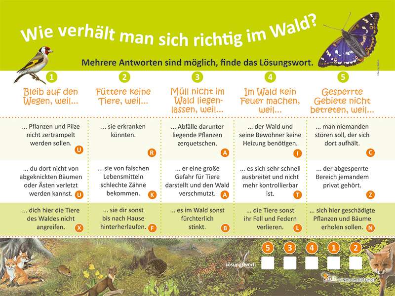 Faszinierend Wie Verhalte Sie Sich Richtig Bilder