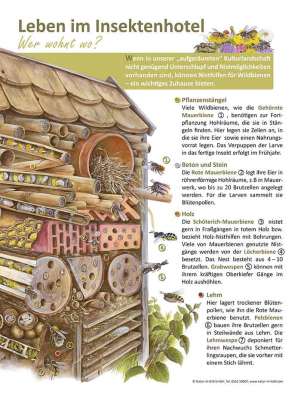 Nahrung der Fledermäuse | Säugetiere | Lehrtafeln | Natur im Bild ...