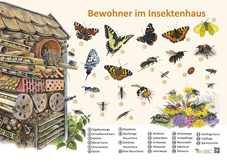 Insektenhotel Bewohner Bestimmen