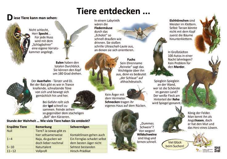 Tiere entdecken | Tiere | Lehrtafeln | Natur im Bild Lehrtafeln für ...