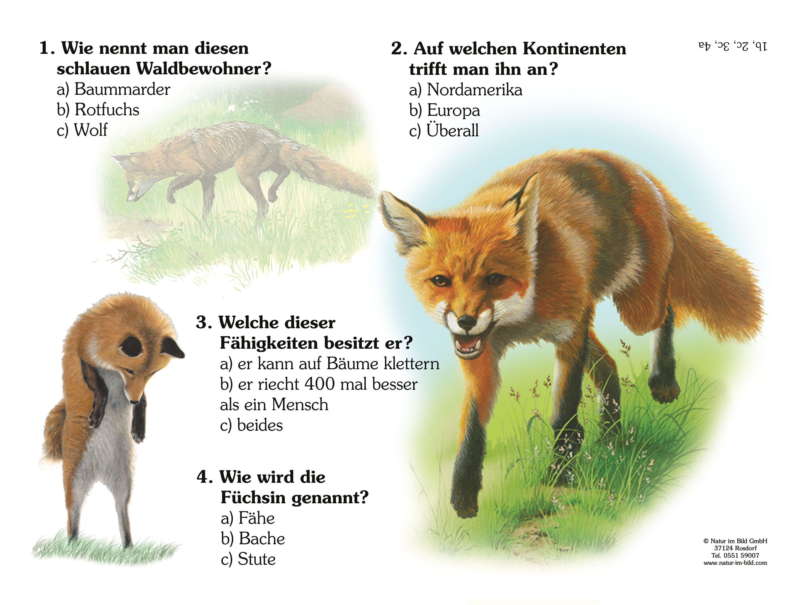 Rotfuchs | 30x40 cm | Quiztafel | Lehrtafeln | Natur im Bild Lehrtafeln ...