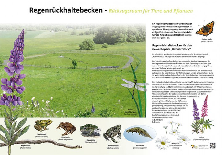 Regenrückhaltebecken | Ökologie | Lehrtafeln | Natur im Bild Lehrtafeln für Natur-, Lehr- oder ...