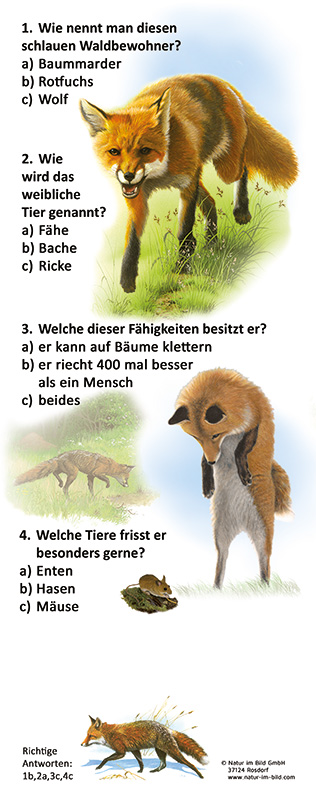 Rotfuchs - Quiz | Quiztafel | Lehrtafeln | Natur im Bild Lehrtafeln für ...