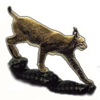 Tiersilhouetten | Natur im Bild Lehrtafeln für Natur-, Lehr- oder Lernpfade