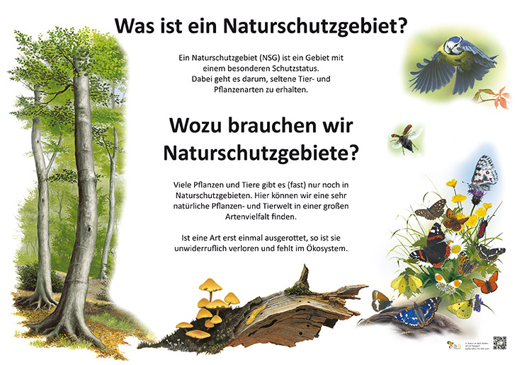 Naturschutz | Naturschutz In Deutschland – FDOMF