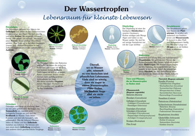 Der Wassertropfen | Ökologie | Lehrtafeln | Natur im Bild Lehrtafeln für Natur-, Lehr- oder ...