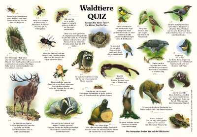 Waldtiere | Tiere | Lehrtafeln | Natur im Bild Lehrtafeln für Natur ...